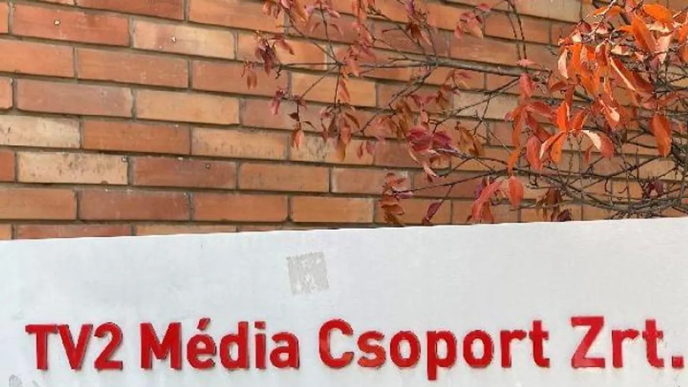 Kilenc évesek a TV2 Csoport népszerű kábelcsatornái