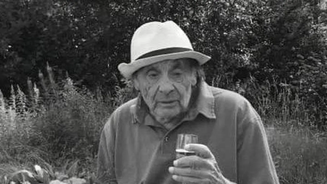 Meghalt Domonkos István